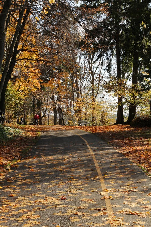 Bicycle path stock photo. Image of season, route, street - 27755700