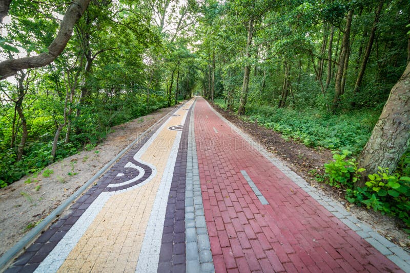 Bicycle path stock image. Image of paving, lane, track - 124618559