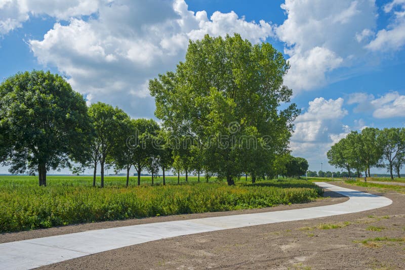 Bicycle Path through a Tree Lined Field in Summer Stock Image - Image ...