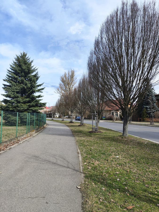 Bicycle Path in the Czech Highlands Stock Image - Image of path, clouds ...