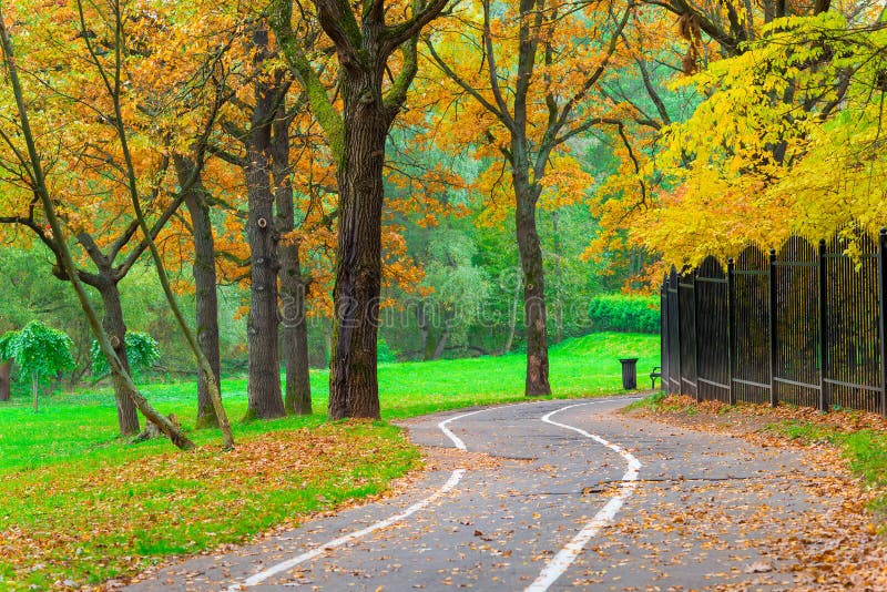 Bicycle Path in an Empty Park Stock Image - Image of foliage, colored ...