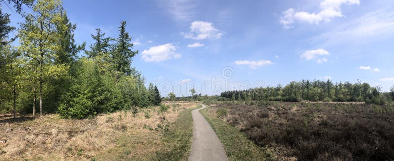 Bicycle Path through the Forest Around Rheeze Stock Image - Image of ...