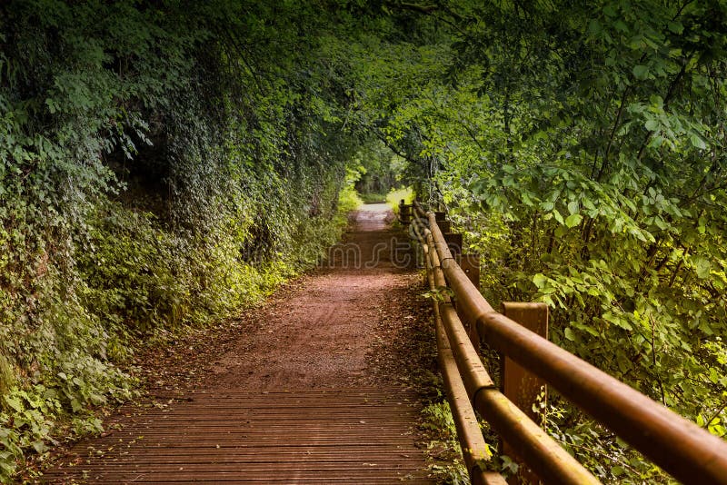 Bicycle Path of Lambro River (Brianza, Italy) Stock Photo - Image of ...