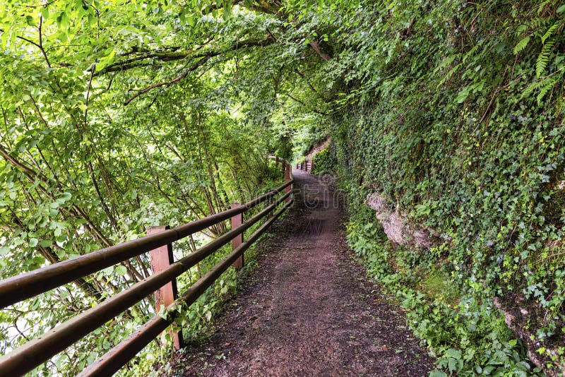 Bicycle Path of Lambro River (Brianza, Italy) Stock Image - Image of ...