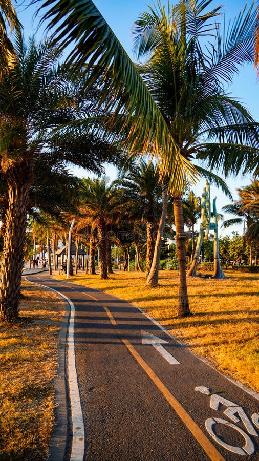 Bicycle Path among Palm Trees and Sunset Taiwan Kaohsiung Stock Photo ...