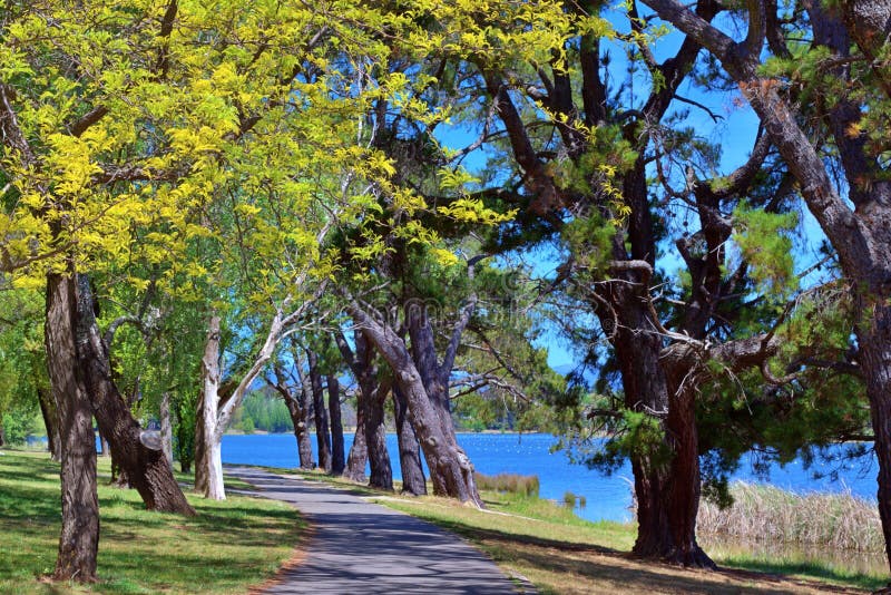 Bicycle Path through the Park Along the Lake in Weston Park Canberra ...