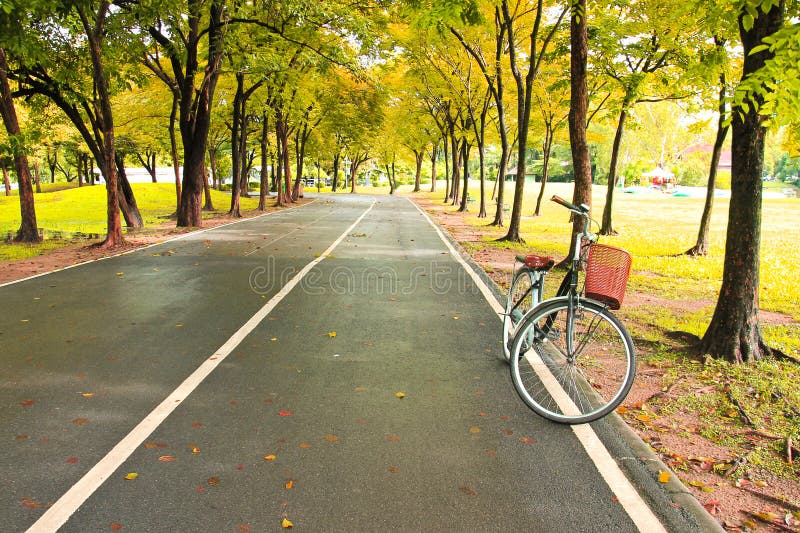 The Bicycle on Path of Park Stock Image - Image of journey, maple: 33751015