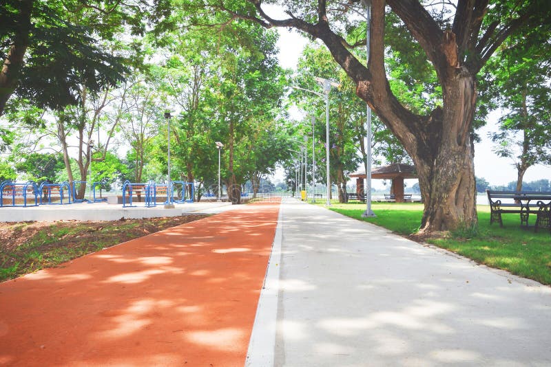 Bicycle path in the park stock photo. Image of street - 183540232