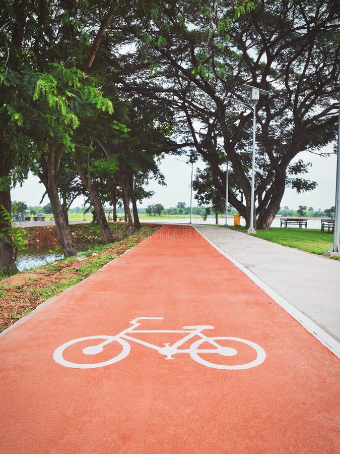 Bicycle Path through the Forest Around Rheeze Stock Image - Image of ...