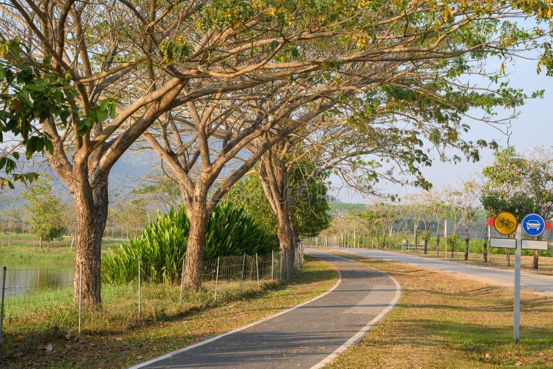 Road, Path, Tree, Infrastructure Picture. Image: 135310550