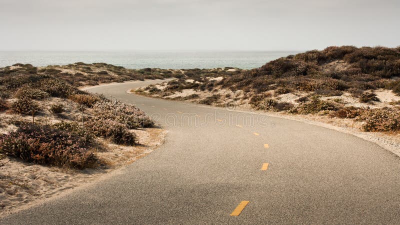 A Bicycle Path S-Curve stock photo. Image of space, outdoors - 26440174