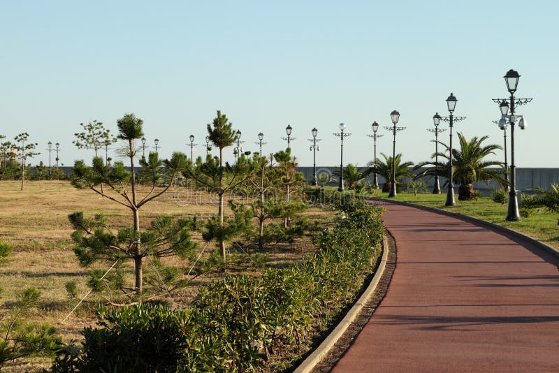 Bicycle Path Surrounded by Tropical Plants Stock Photo - Image of ...