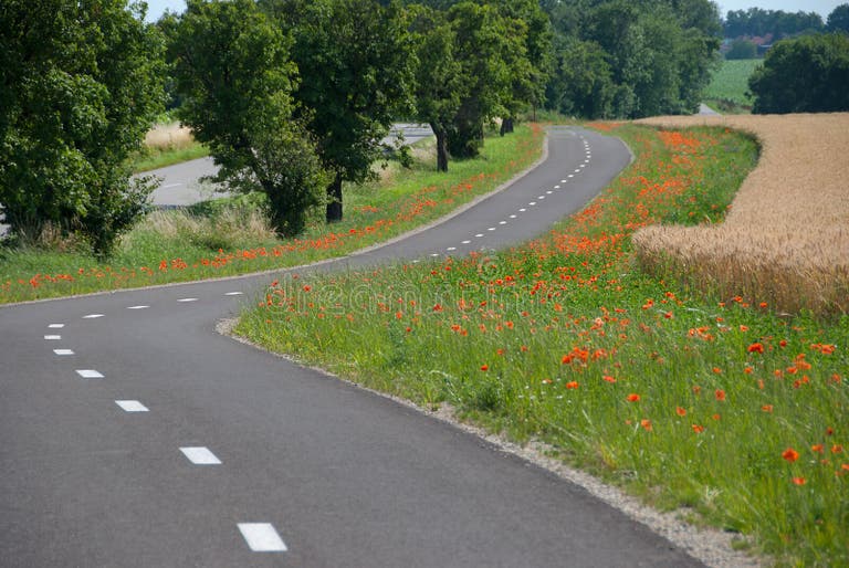 Bicycle path stock image. Image of asphalt, nature, pathway - 32913207