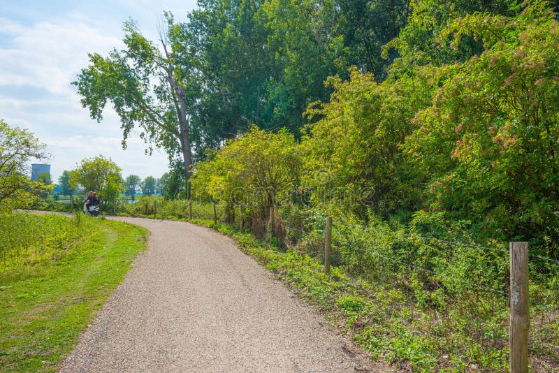 Bicycle Path through a Tree Lined Field in Summer Stock Image - Image ...