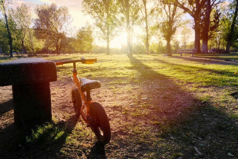 Bicycle without Pedals Resting on a Park Bench Stock Image - Image of ...