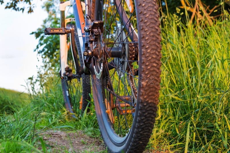 Bicycle Rear View on a Background of Grass Stock Photo - Image of biker ...