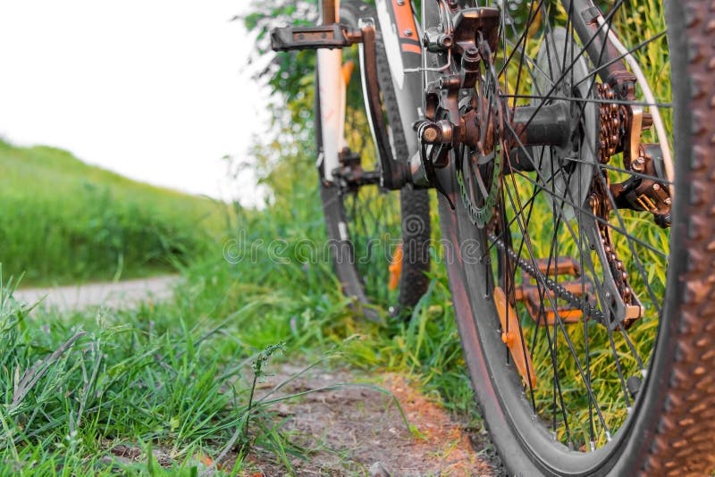 Bicycle Rear View on a Background of Grass Stock Photo - Image of biker ...