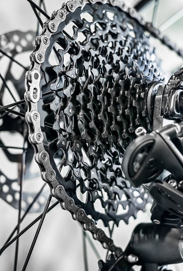 Bicycle Rear Wheel with Detail of the Gear System Stock Image - Image ...