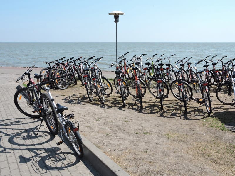 Bicycle on rent editorial photography. Image of popular - 77340042