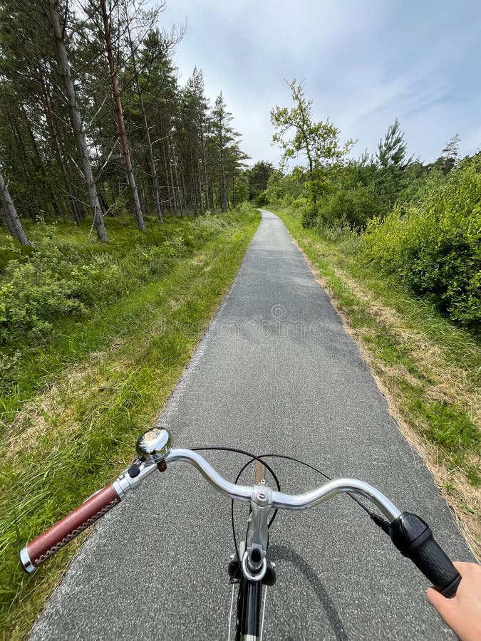 Bicycle Ride through the Skagen Forest. Top View of the Handlebars from ...
