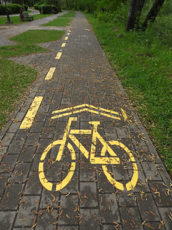 Bicycle Road Signs on the Pavement in the Park Stock Photo - Image of ...