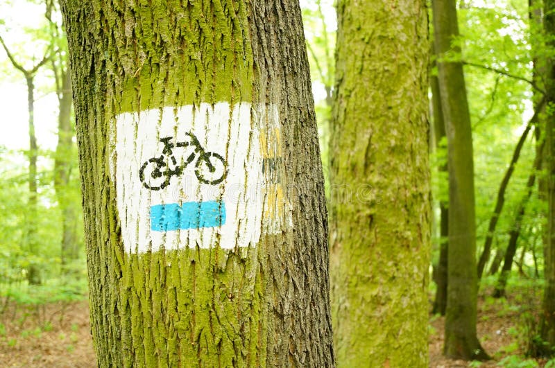 Bicycle route mark stock image. Image of forest, bark - 42030477