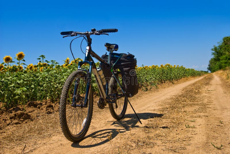 Bicycle on a rural road stock image. Image of bicycle - 25302163