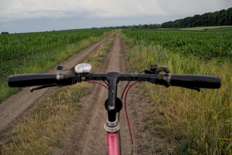 Bicycle and Rural Road among a Field Stock Photo - Image of plant ...