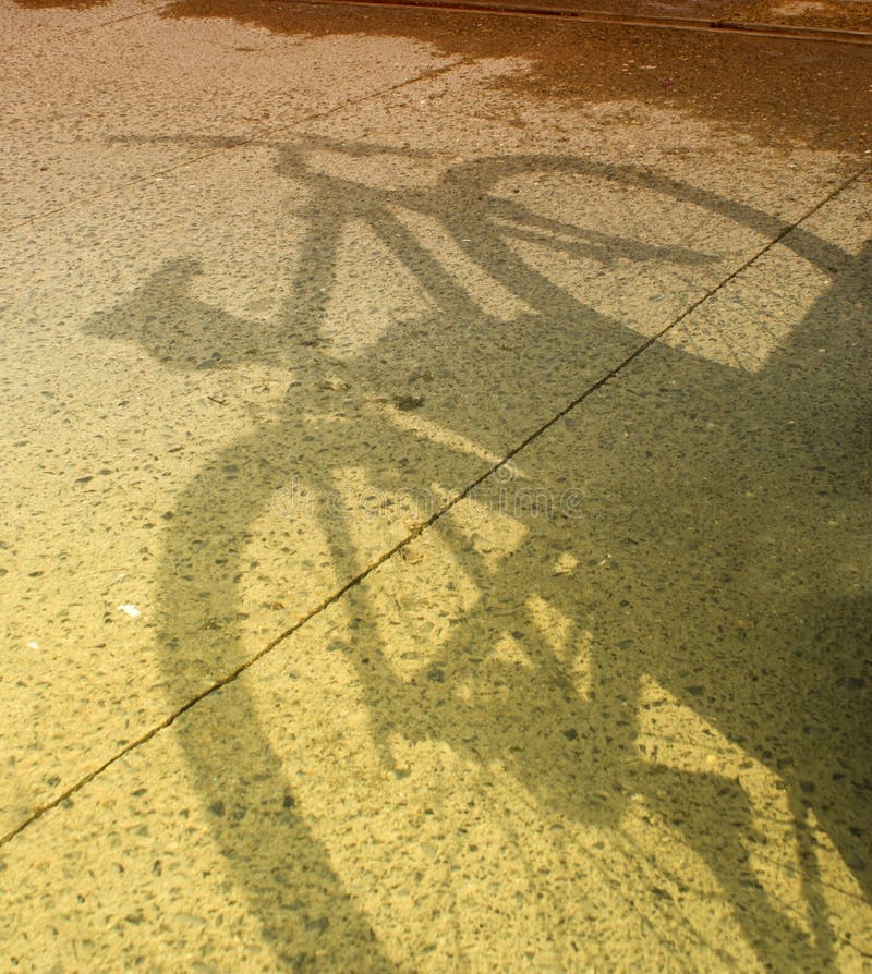 Bicycle Shadow stock photo. Image of street, sunshine - 5658084