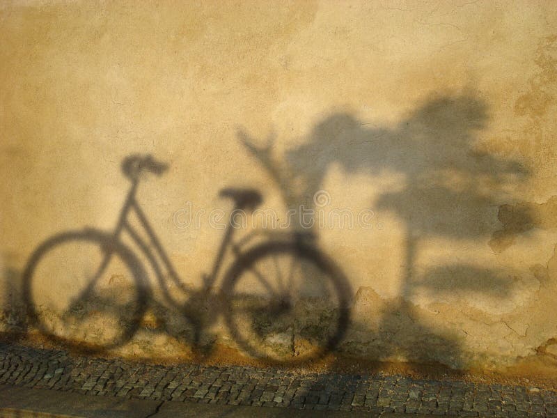 Bicycle Shadow stock photo. Image of city, bike, health - 33587136