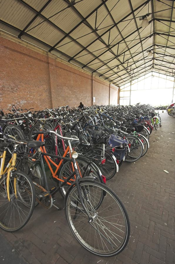 Bicycle stall stock photo. Image of gear, cycle, ride - 4946258