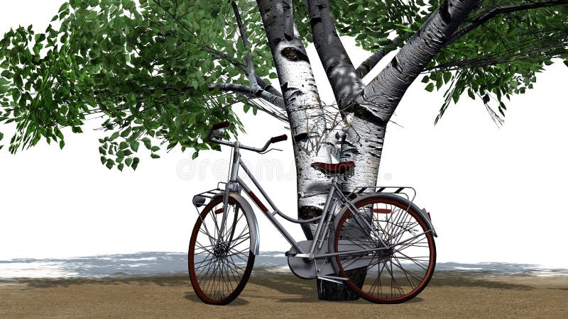 Bicycle is Standing beside Birch Tree Stock Photo - Image of retro ...
