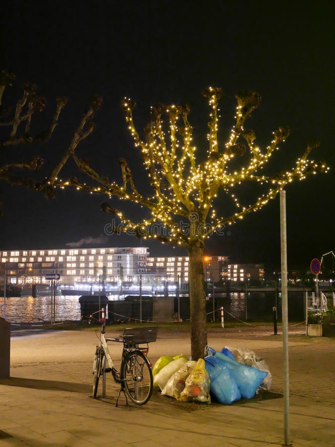 A Bicycle Stands at Night Under a Tree Illuminated with LED Lights ...