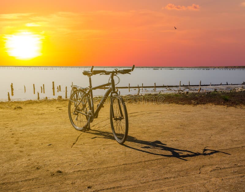 Bicycle Stay on a Summer Sea Beach at the Sunset Stock Photo - Image of ...