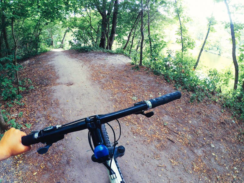 Bicycle Steering Wheel Path Forest Trees Stock Image - Image of copy ...