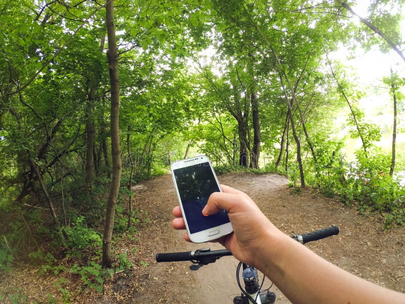 Bicycle Steering Wheel Path Forest Trees Stock Photo - Image of biking ...