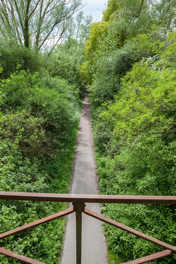 A Bicycle Street in the Middle of Nature Stock Image - Image of street ...