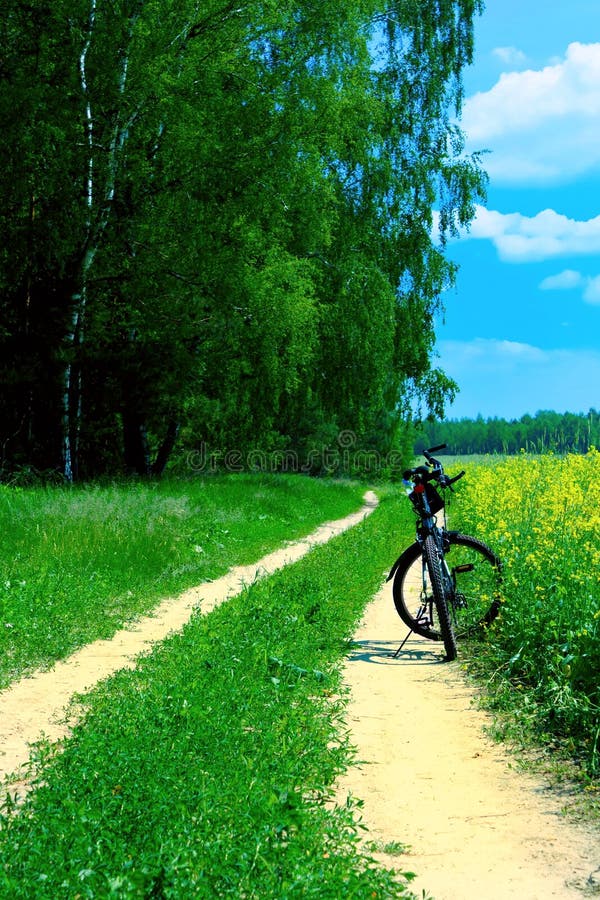 Bicycle in Summer Landscape Stock Photo - Image of pedal, blue: 5613736