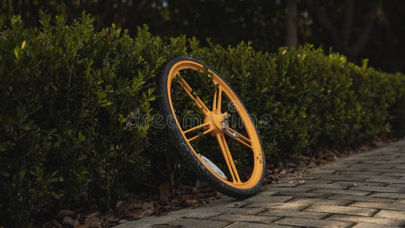 Bicycle Tire Leaning on Bush Stock Photo - Image of yellow, tire: 264234988