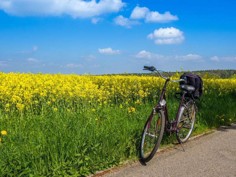 Activ Bicycle Tour in Spring Stock Photo - Image of holding, check ...