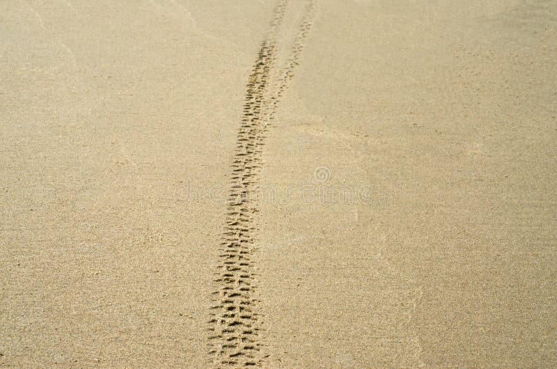 Bicycle Trace Tracks on Sand Stock Image - Image of pattern, mark: 46656139
