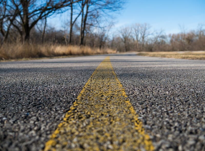 Bicycle Trail Line in the Forest Preserve during the Day Stock Photo ...