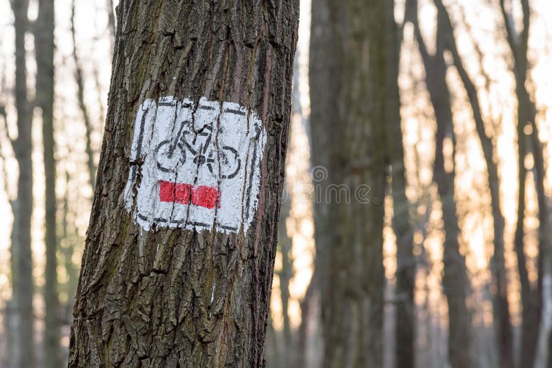 Bicycle Trail Sign on the Tree Stock Image - Image of street, path ...