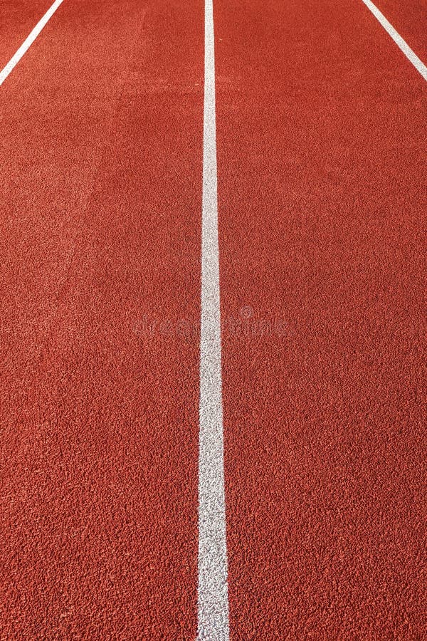 Bicycle Treadmill, with White Dividing Strips, Asphalt Texture. the ...