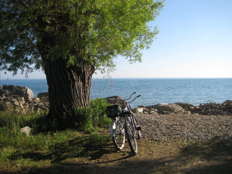 Bicycle and tree stock image. Image of ride, clear, boats - 75812685