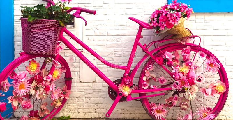 Pink Vintage Bicycle with Flowers Stock Photo - Image of bloom, design ...