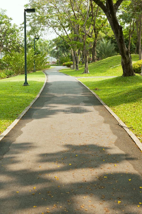 Bicycle way in green park stock image. Image of pathway - 30037331