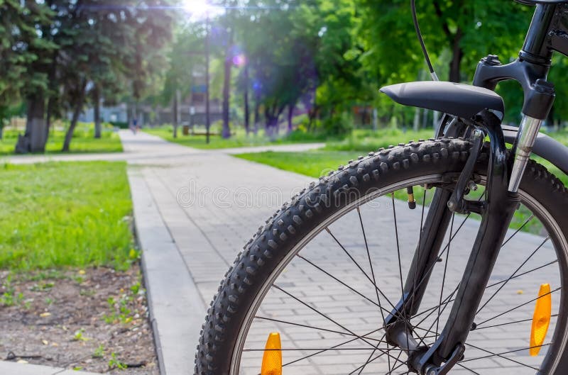 Bicycle Wheel in Front of a Stone Footpath Stock Image - Image of bike ...