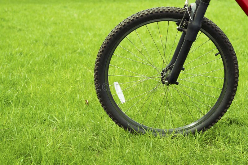 Bicycle wheel on green stock image. Image of purity, tire - 54426365