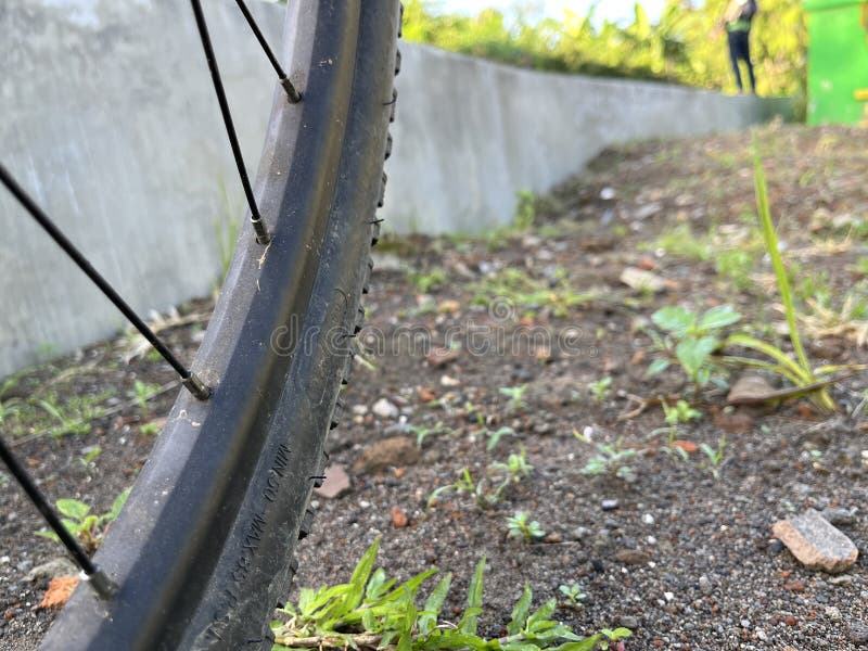Bicycle Wheel on the Ground in the Park. Stock Image - Image of disc ...